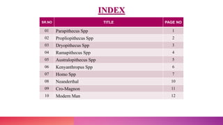 HUMAN EVOLUTION | PPTX | Geology | Science