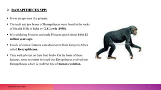 HUMAN EVOLUTION | PPT
