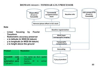 Dinh_BIOMASS_TomoSAR | PDF | Geography | Science