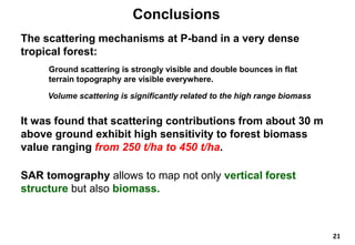 Dinh_BIOMASS_TomoSAR | PDF | Geography | Science