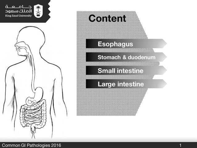 Common GI Pathologies | PDF