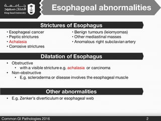 Common GI Pathologies | PDF