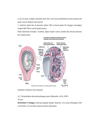 referat-papp-a-dr-bambang | PDF