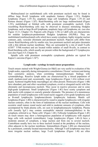 An Atlas Of Differential Diagnosis In Neoplastic Hematopathology ...