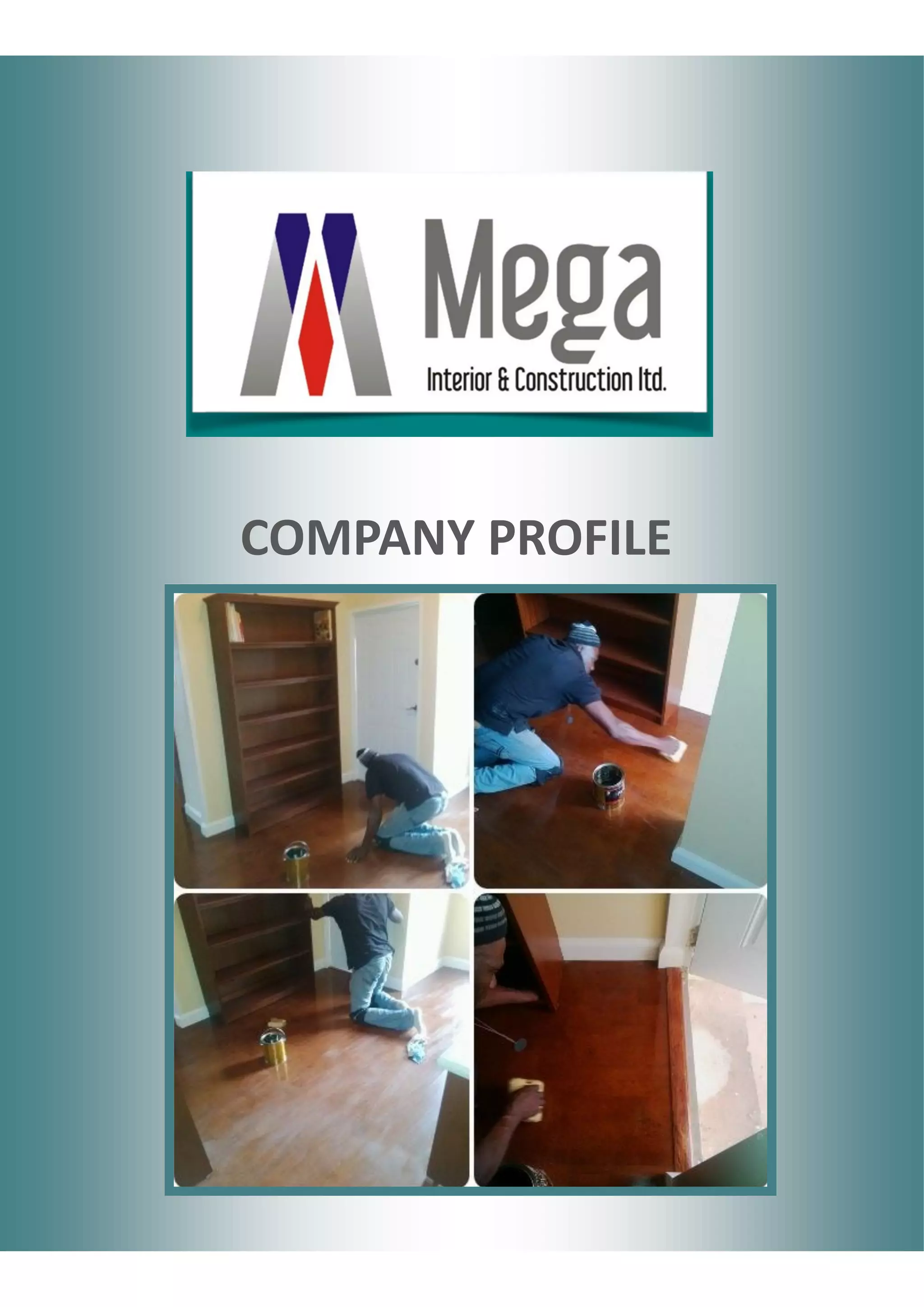 MEGA Company Profile | PDF