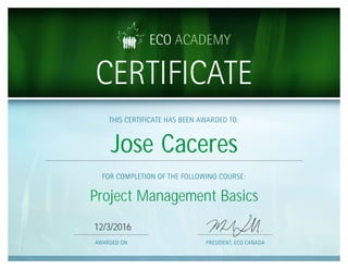 Project Management Basics | PDF