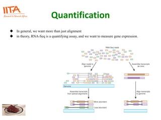 RNA-Seq_Presentation | PPT