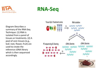 RNA-Seq_Presentation | PPT