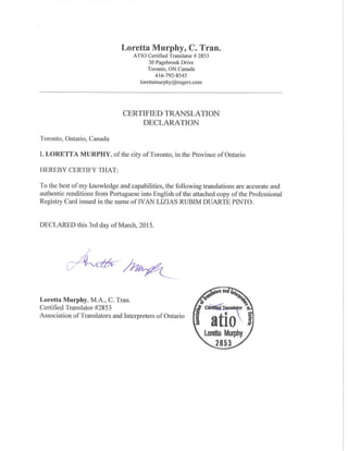 ATIO Translation Professional License | PDF