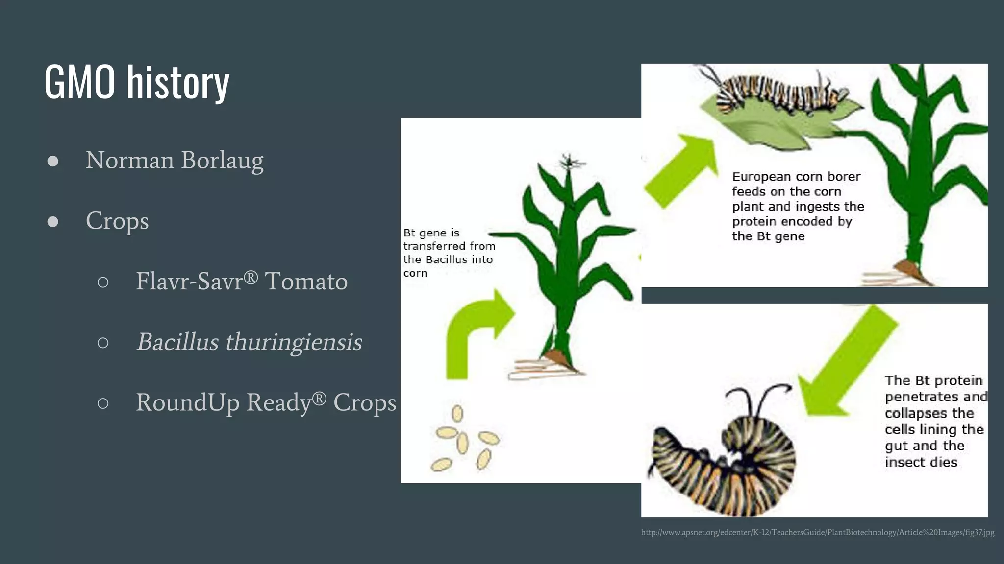GMOs in Agriculture | PDF