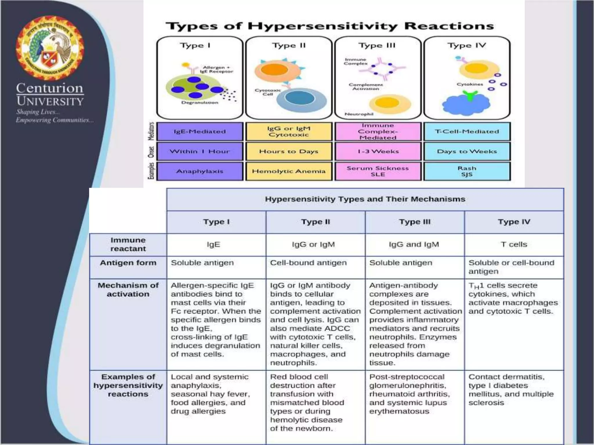 77 hypersensitivity.pptx
