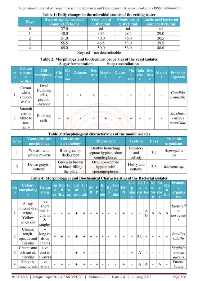 Low Cyanide High Protein Dry Fufu Powder Processed from Cassava using ...