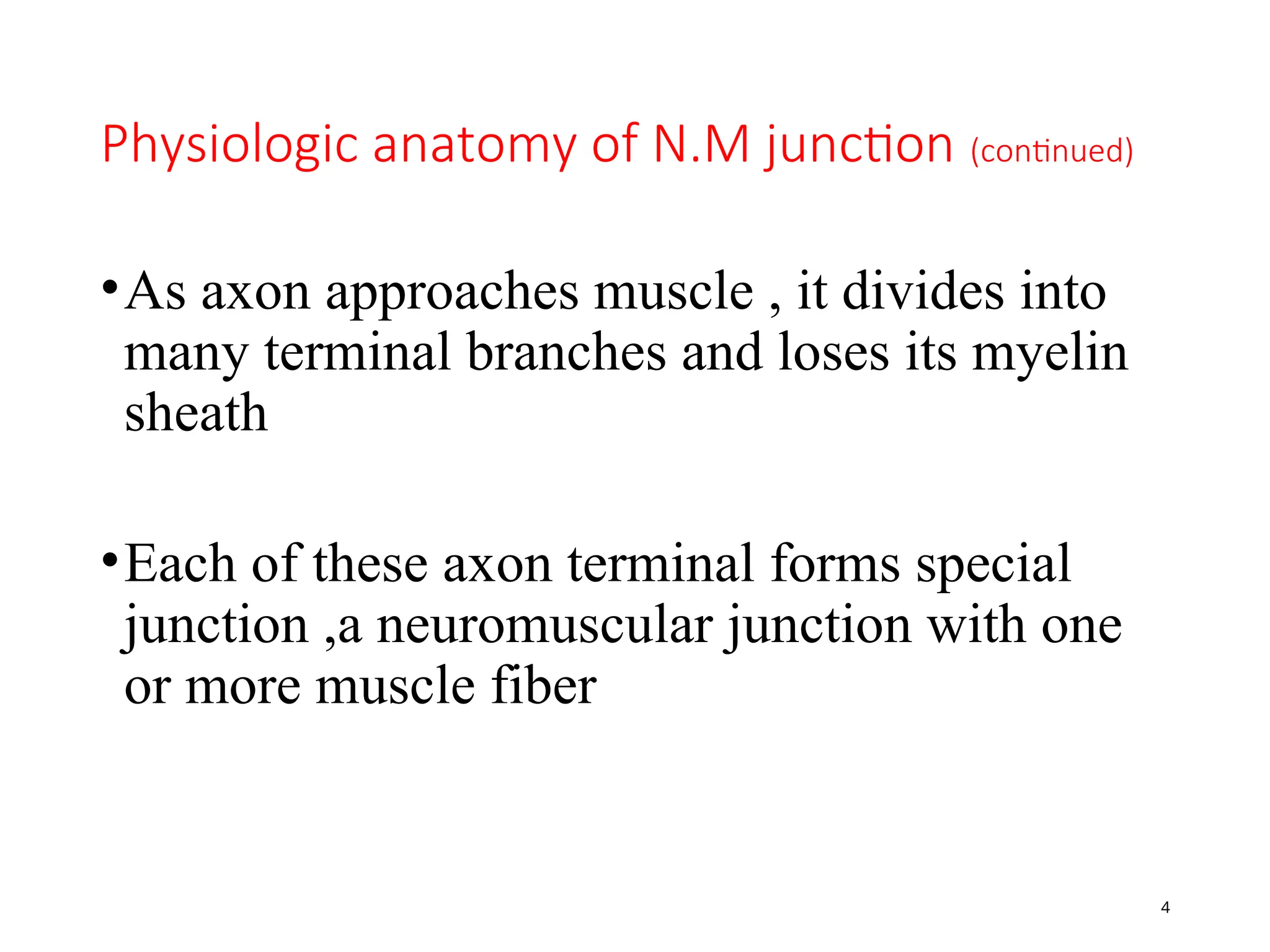 7&8- The Neuromuscular Junction & Physiology of Skeletal Muscle ...