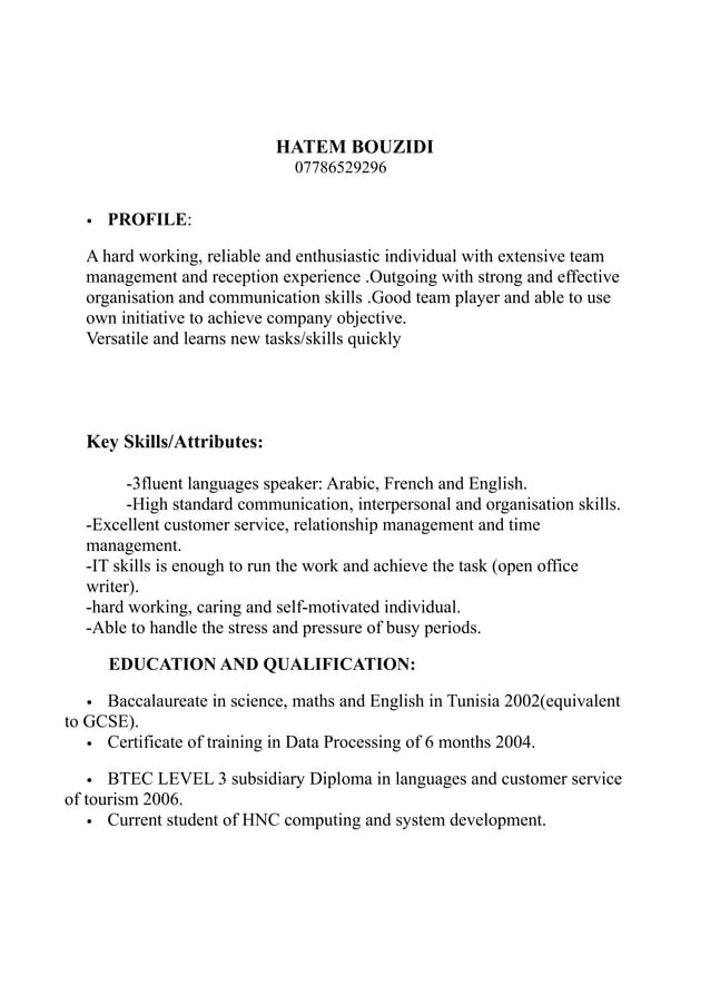 hatem cv | ODT | Business | Business and Finance