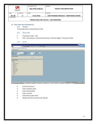 BSG-ITPD-2700 04c User Reference Manual FI Closing Activities | PDF