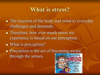 784465834343 Effect of Stress 7844658.ppt