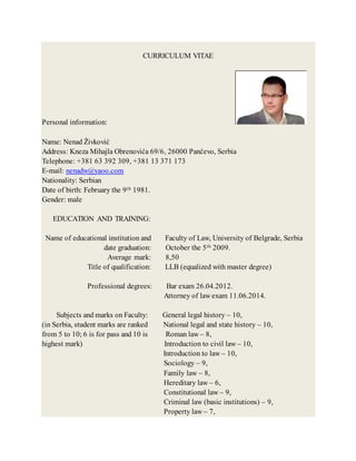 CV English | PDF