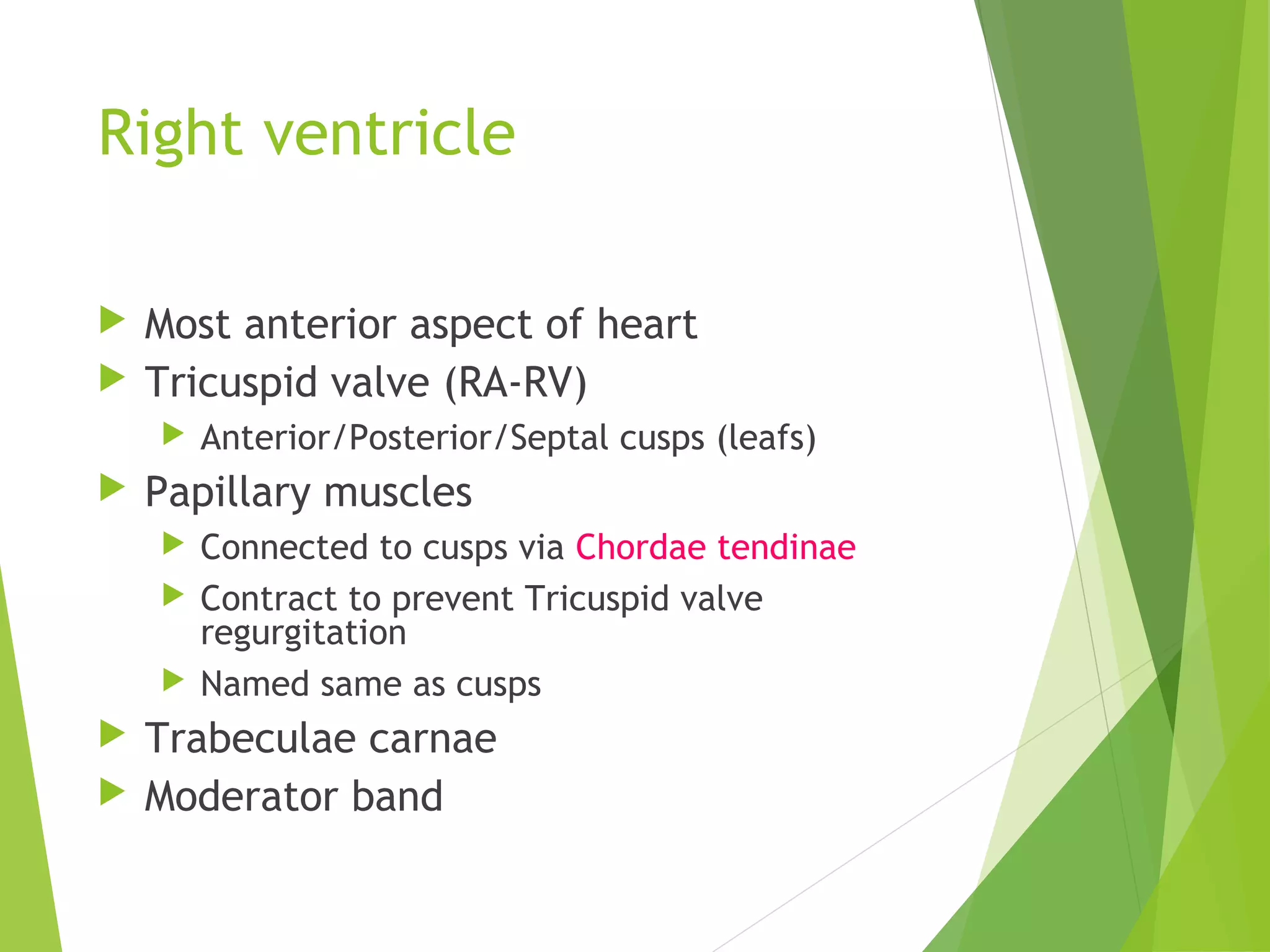 Anatomy of the heart | PPT