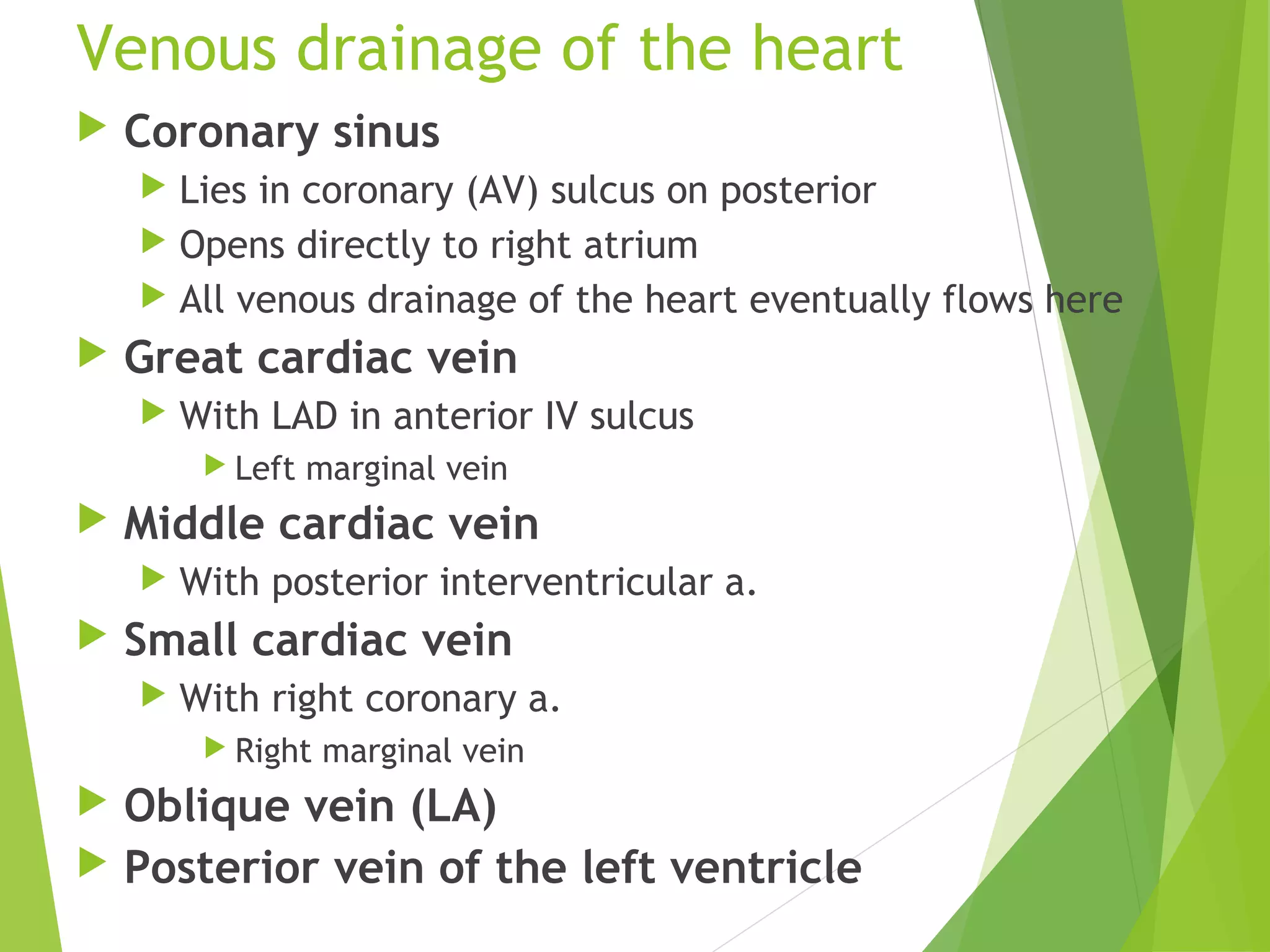 Anatomy of the heart | PPT