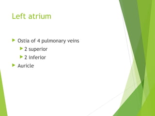 Anatomy of the heart | PPT