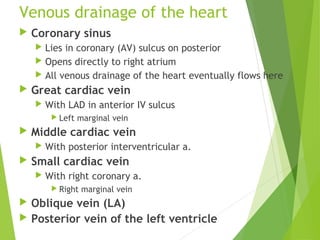 Anatomy of the heart | PPT