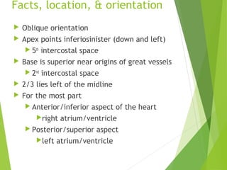 Anatomy of the heart | PPT