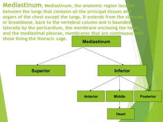 Anatomy of the heart | PPT