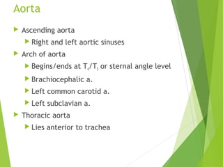 Anatomy of the heart | PPT