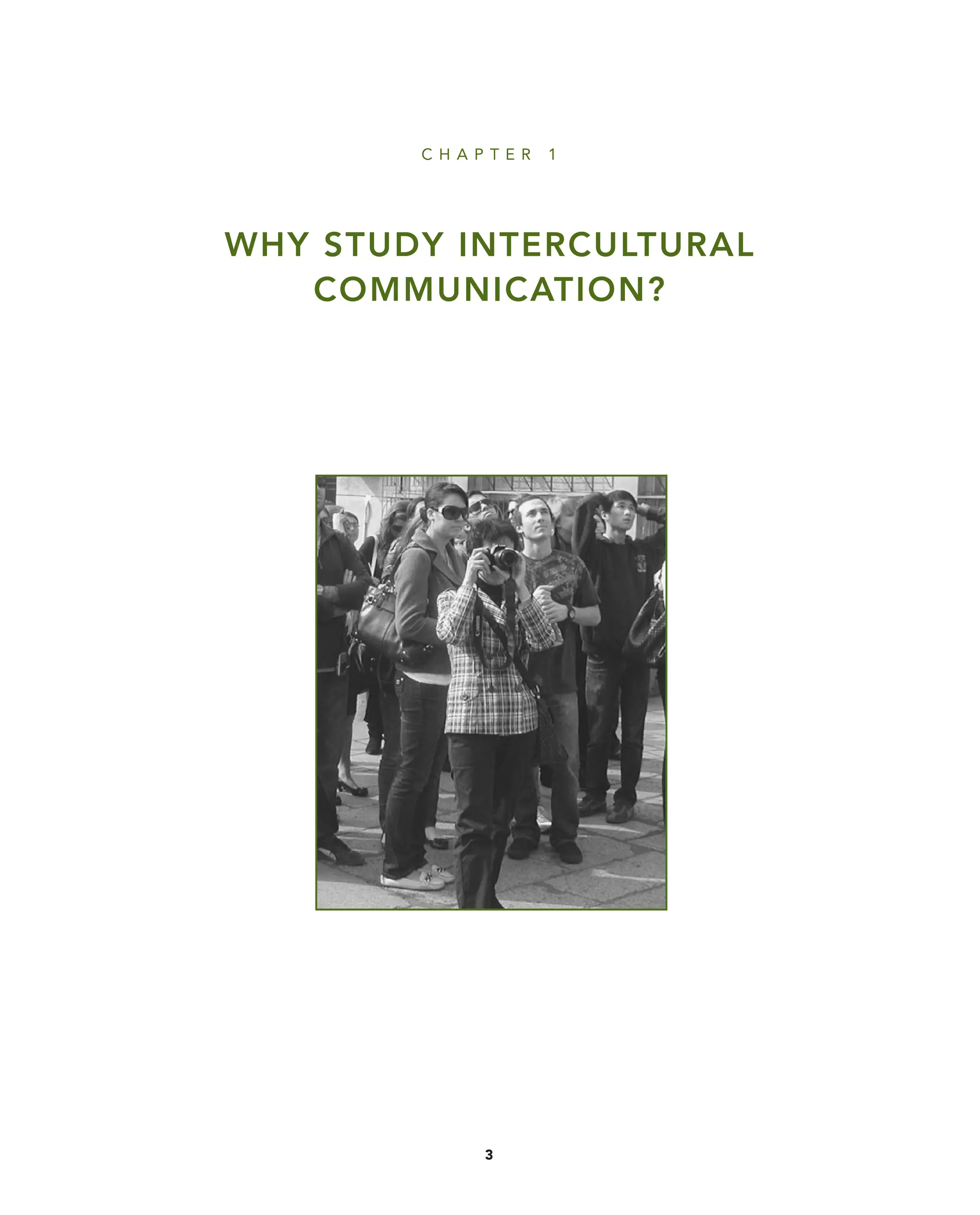 Understanding intercultural communication 2nd ed Edition Ting-Toomey | PDF