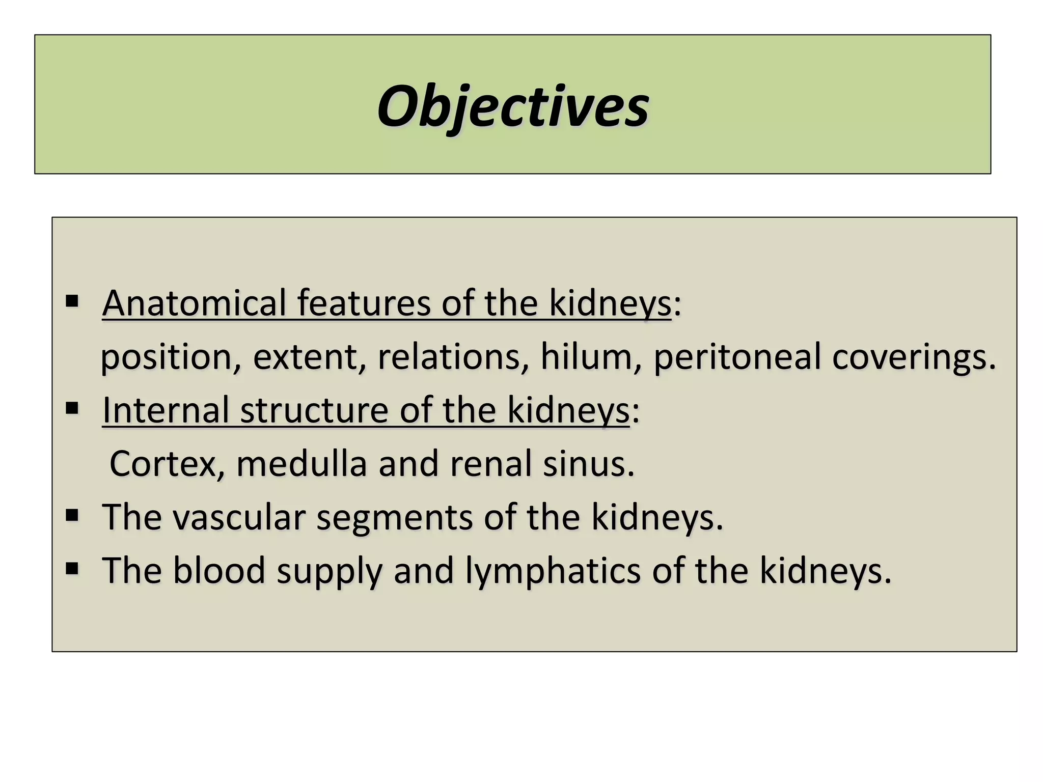 Anatomy of kidney | PPTX
