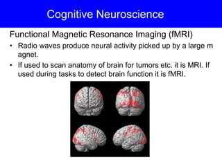 Cognitive processes | PPT