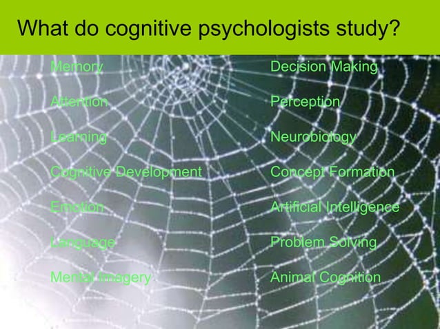 Cognitive processes | PPT
