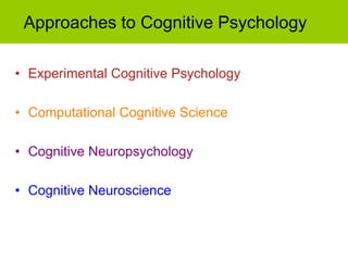 Cognitive processes | PPT