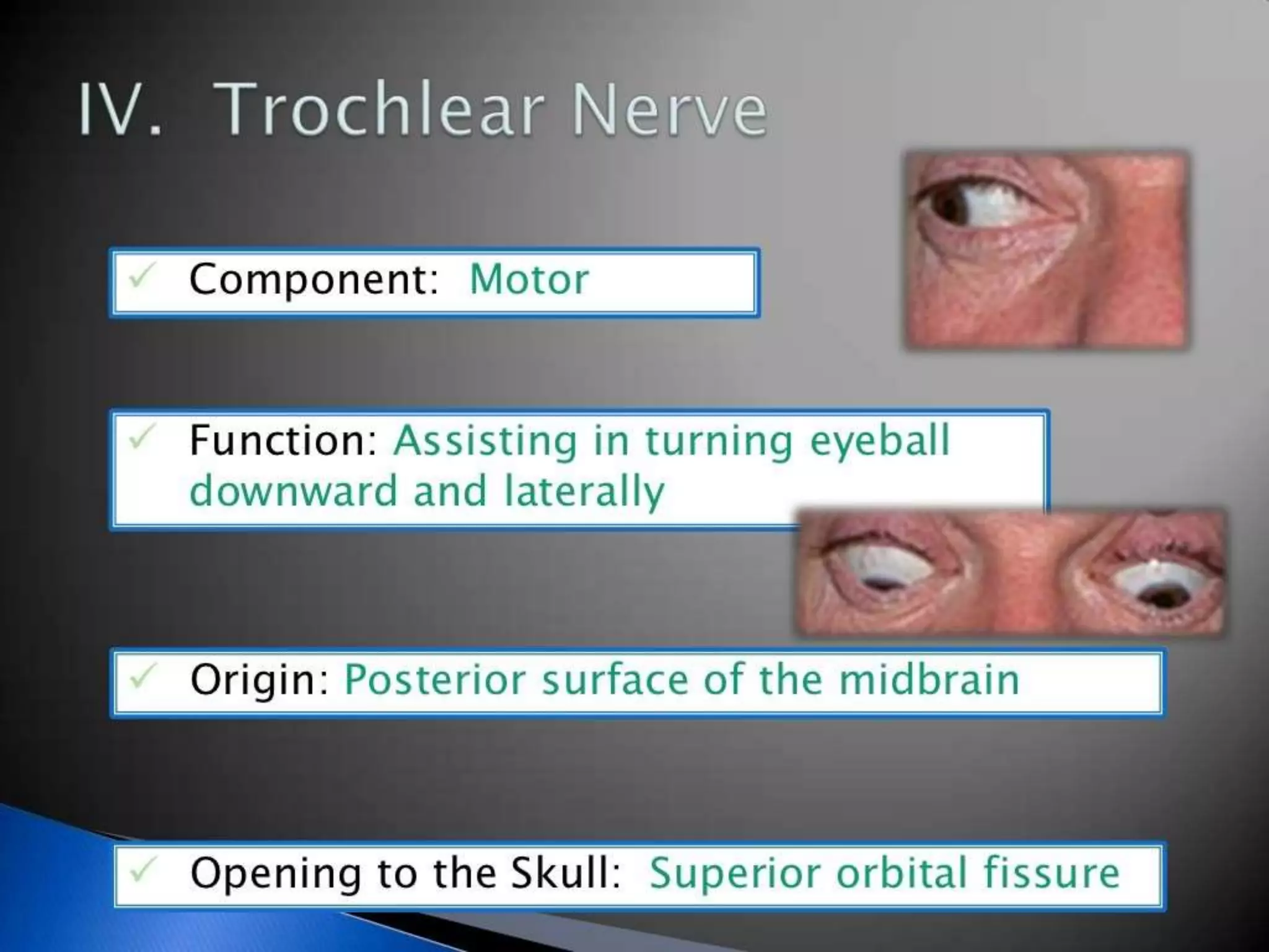 cranial nerves 1 to 6 | PPTX