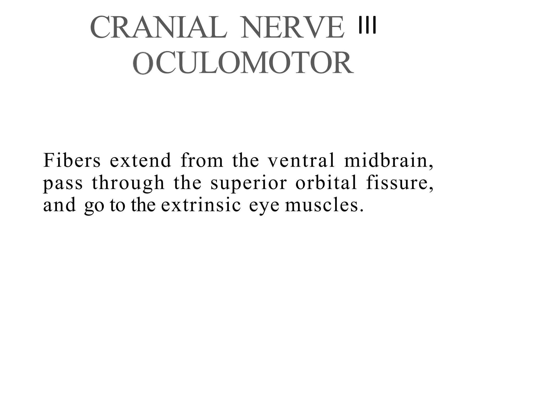 cranial nerves 1 to 6 | PPTX