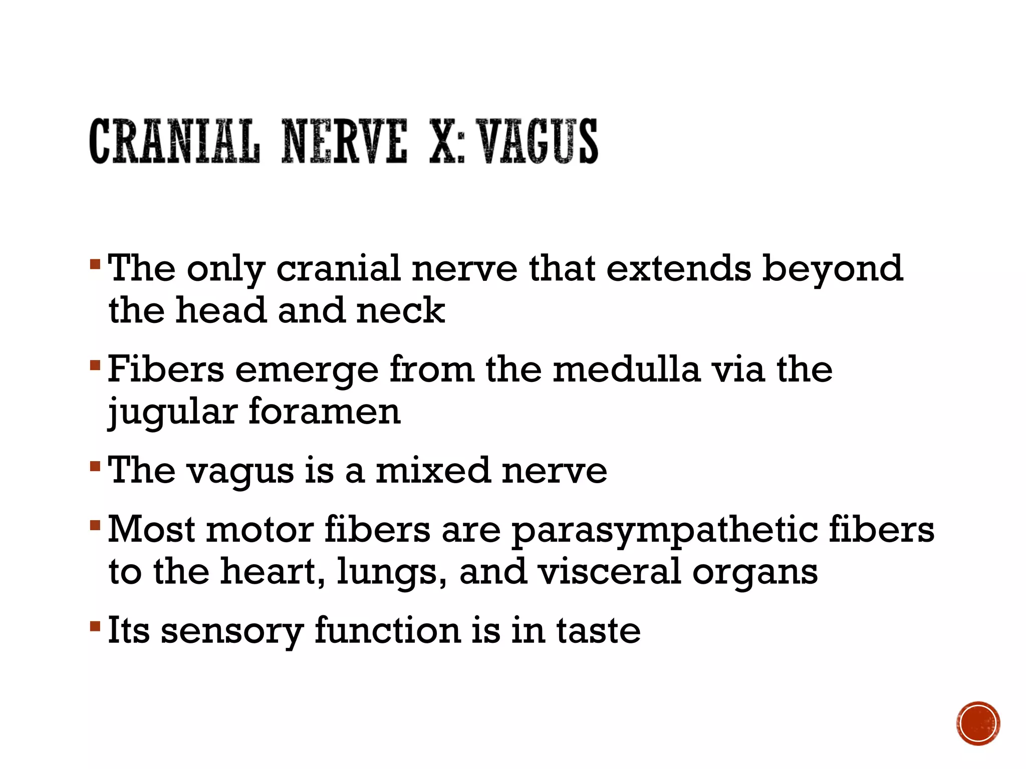 cranial nerves 7 to 12 | PPT