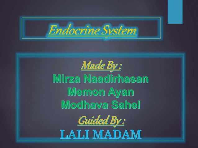 Endocrine system Physiology | PPT