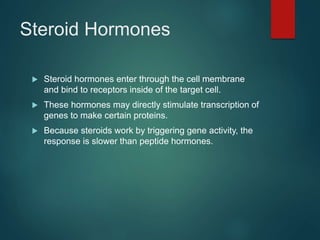 Endocrine system Physiology | PPTX