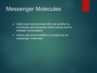 Endocrine system Physiology | PPT