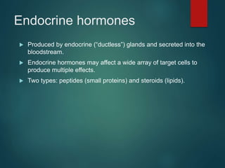 Endocrine system Physiology | PPTX