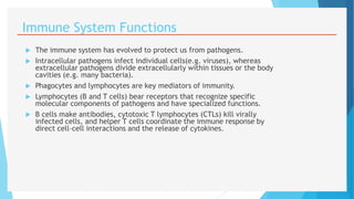 786 immunity | PPT