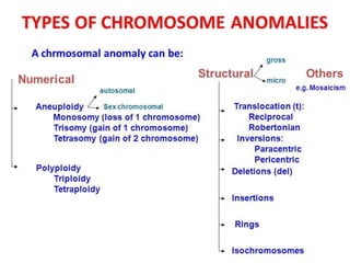 Structural Chromosomal Abnormalities