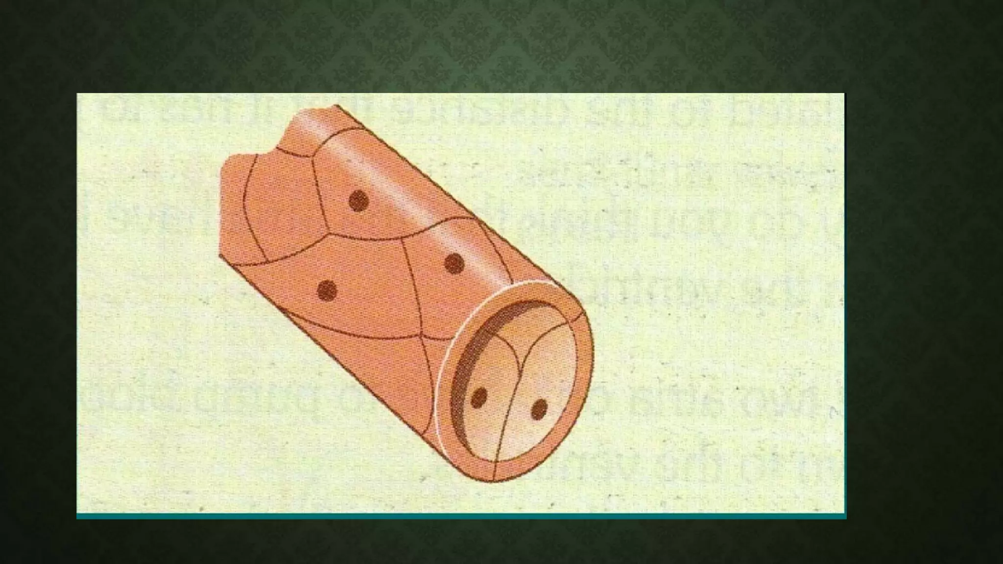 Properties of blood vessel walls medical physics | PPTX
