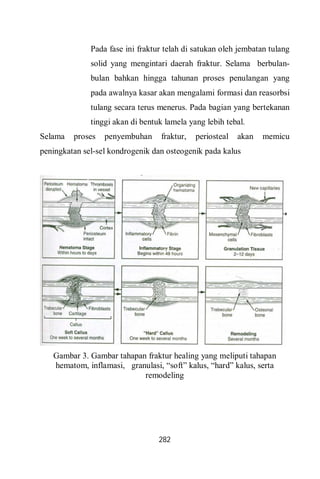 fase fraktur dan jenis-jenis dari fraktur | PDF