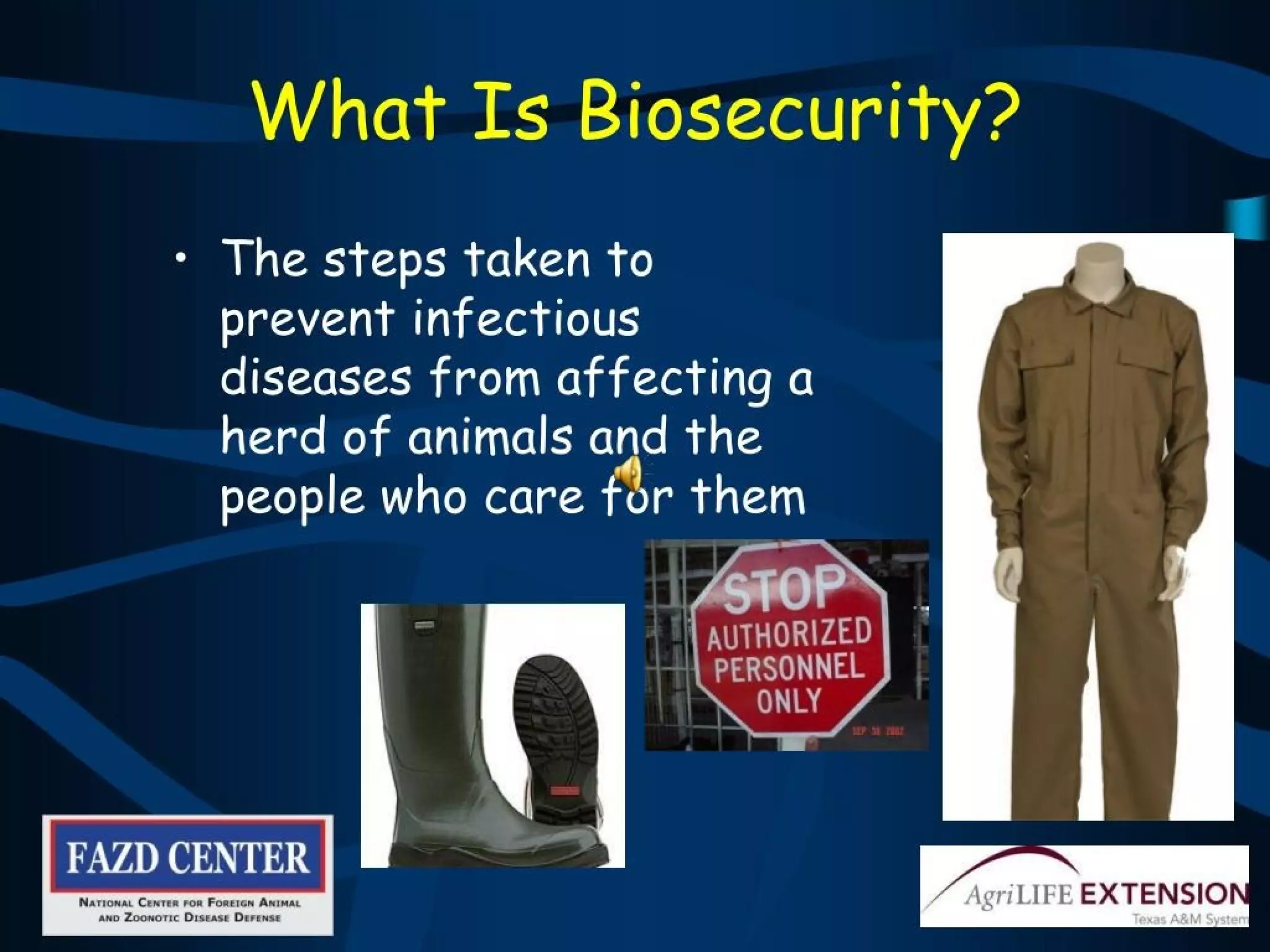 Biosecurity in cattle.pdf
