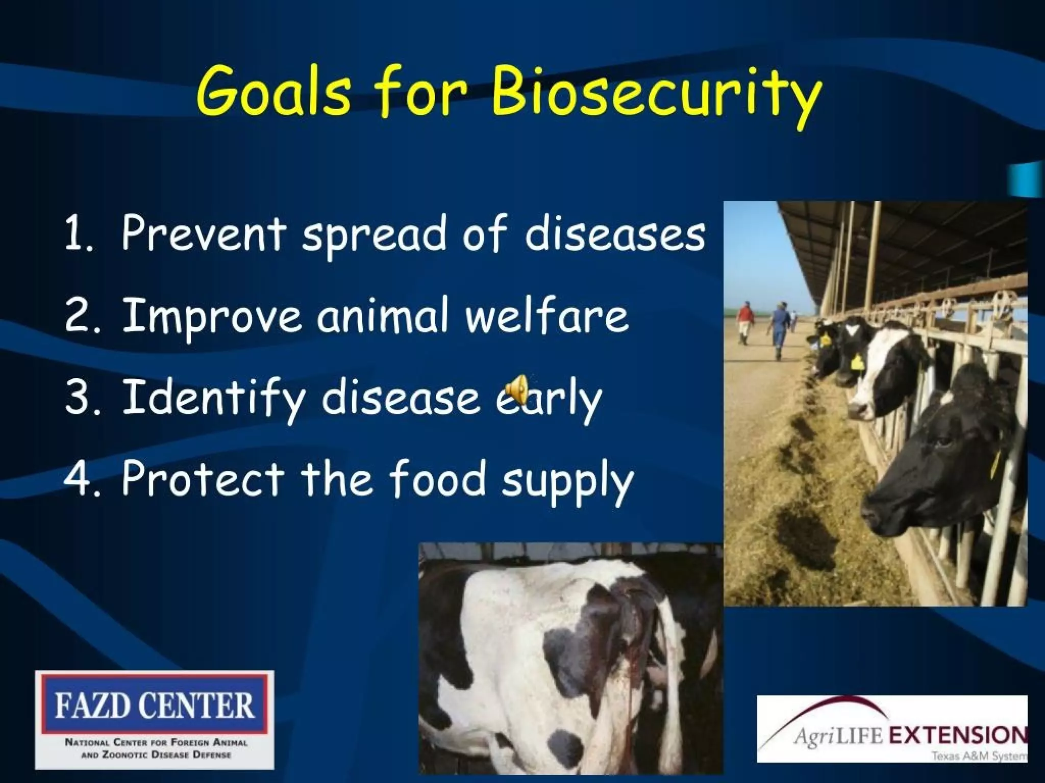 Biosecurity in cattle.pdf