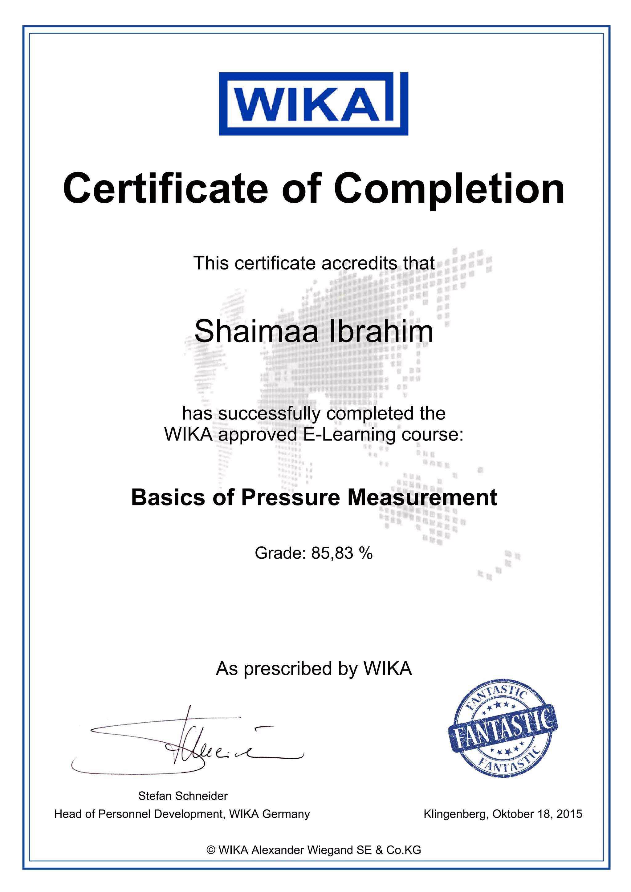 BPM_Certificate BPM - fantastic | PDF