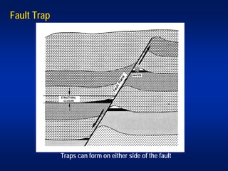 The-Seismic-Experience - Petroleum Geophysics | PDF