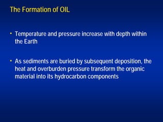 The-Seismic-Experience - Petroleum Geophysics | PDF