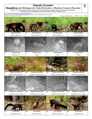 Mamíferos del Refugio de Vida Silvestre y Marino Costero Pacoche | PDF